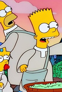 The Simpsons: Season 9, Episode 13 | Rotten Tomatoes