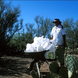 Crossing Arizona - Rotten Tomatoes