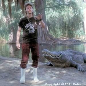 Joe Dirt - Rotten Tomatoes