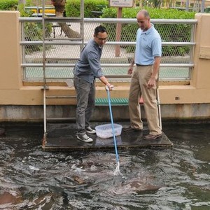 Fish Tank Kings - Rotten Tomatoes