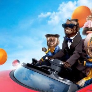 Monkey Up - Rotten Tomatoes