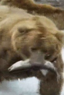 Animal Face-Off: Season 1, Episode 7 | Rotten Tomatoes