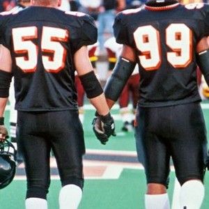 Go Tigers! - Rotten Tomatoes