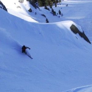 Swift. Silent. Deep - Rotten Tomatoes