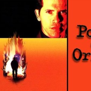 Point of Origin - Rotten Tomatoes