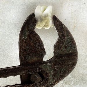 Vile - Rotten Tomatoes