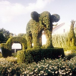 Fast, Cheap & Out of Control - Rotten Tomatoes