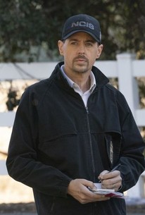 NCIS: Season 18, Episode 7 | Rotten Tomatoes