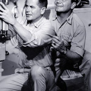 The One and Only - Rotten Tomatoes