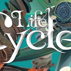 Life Cycles - Rotten Tomatoes