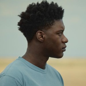 The Last Tree - Rotten Tomatoes