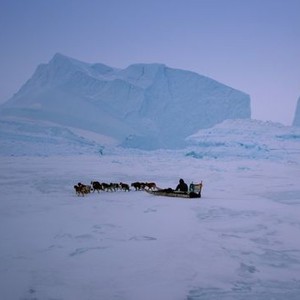 The Last Ice - Rotten Tomatoes