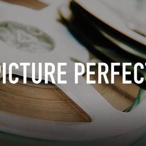 Picture Perfect - Rotten Tomatoes
