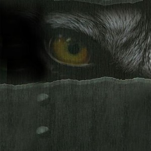 MonsterQuest - Rotten Tomatoes