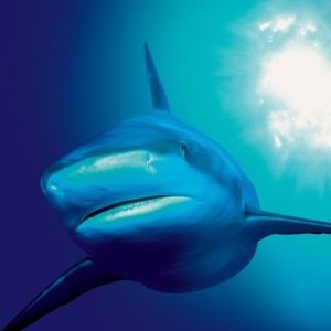 The Blue Planet - Rotten Tomatoes