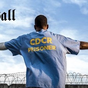 Q Ball - Rotten Tomatoes