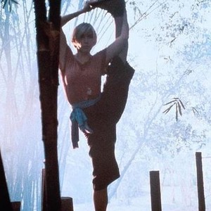 Lady Dragon - Rotten Tomatoes