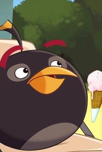 Angry Birds Toons: Season 1, Episode 41 - Rotten Tomatoes