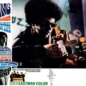 Mondo Mod - Rotten Tomatoes