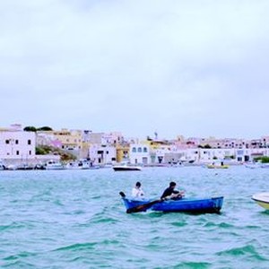 Fire at Sea - Rotten Tomatoes