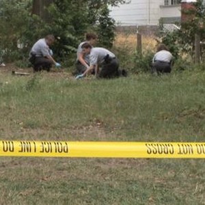 Crime 360: Season 1, Episode 6 - Rotten Tomatoes