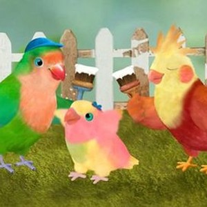 3rd & Bird: Season 1, Episode 24 - Rotten Tomatoes