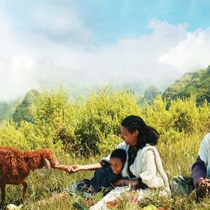 Lamb - Rotten Tomatoes