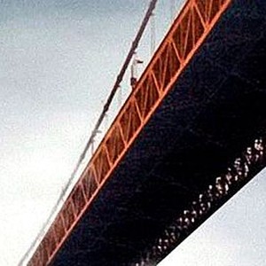 The Bridge - Rotten Tomatoes