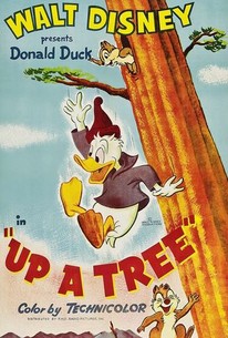 Up a Tree | Rotten Tomatoes