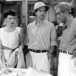 Phyllis Barry - Rotten Tomatoes