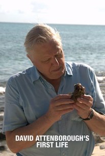 David Attenborough's First Life - Rotten Tomatoes