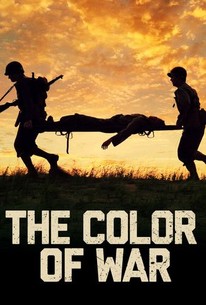 The Color of War | Rotten Tomatoes