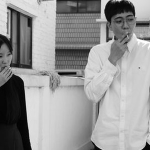 Walk Up - Rotten Tomatoes