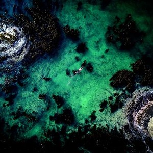 My Octopus Teacher - Rotten Tomatoes