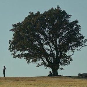 Commitment Hasan Rotten Tomatoes