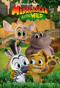 Madagascar: A Little Wild Pictures - Rotten Tomatoes