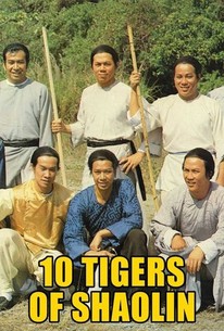 Ten Tigers of Shaolin | Rotten Tomatoes