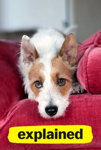 Explained - Rotten Tomatoes