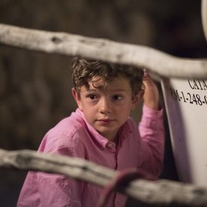 Noah Jupe - Rotten Tomatoes