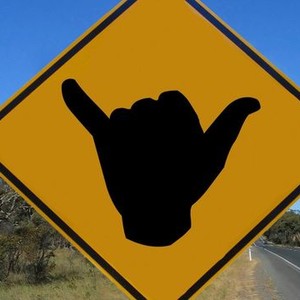 Road Signs: The Movie - Rotten Tomatoes