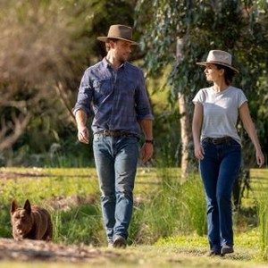 A Perfect Pairing - Rotten Tomatoes