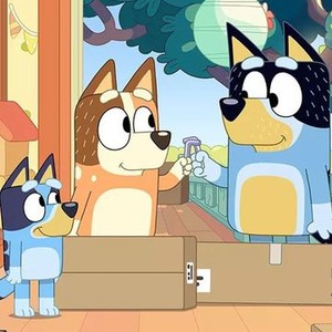 Bluey: Season 2, Episode 24 - Rotten Tomatoes