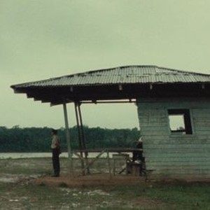 Sepa: Our Lord of Miracles - Rotten Tomatoes