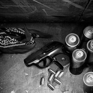 Gangland: Season 7, Episode 2 - Rotten Tomatoes