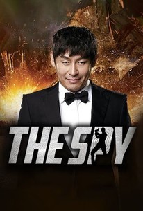 The Spy | Rotten Tomatoes