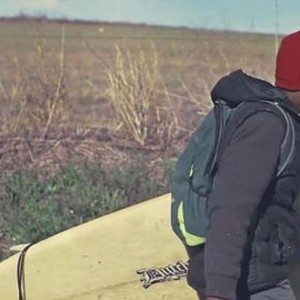 Paul - Rotten Tomatoes