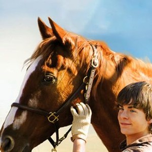The Derby Stallion - Rotten Tomatoes