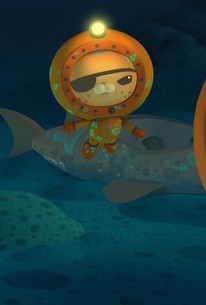Octonauts: Season 1, Episode 26 | Rotten Tomatoes
