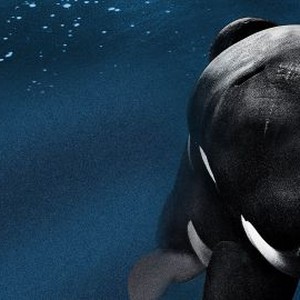 Blackfish - Rotten Tomatoes