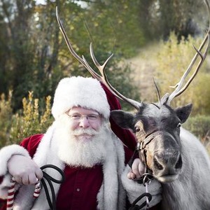 Becoming Santa - Rotten Tomatoes